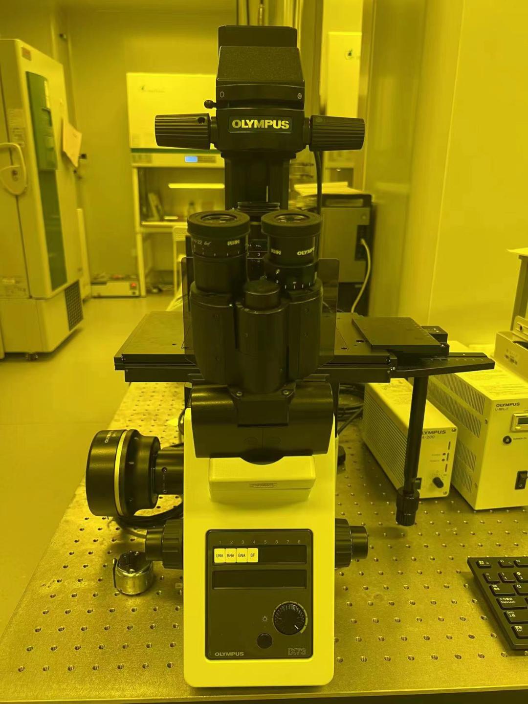 研究级倒置荧光显微镜|湖南大学大型仪器共享平台